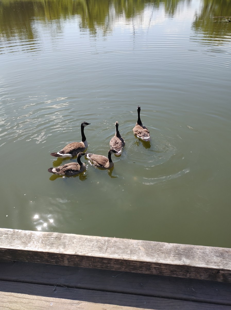 Mini Reflection – The World Through My Eyes